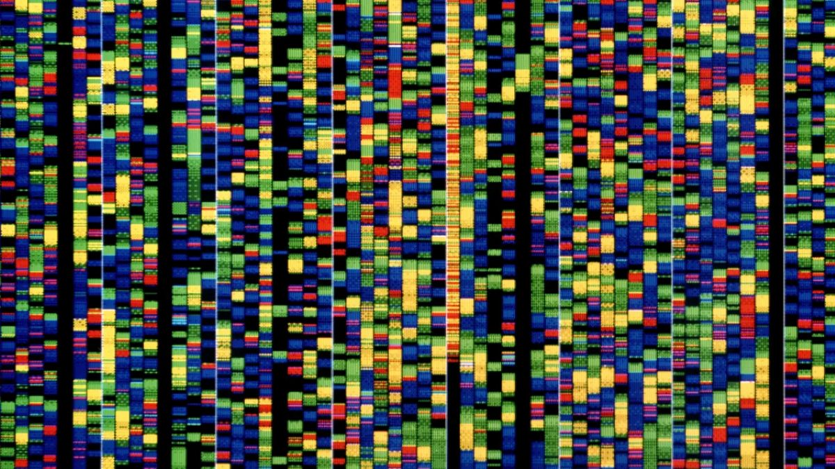 Human Genome’s New AI Tool to Decode Human Genome - Latest Breaking ...