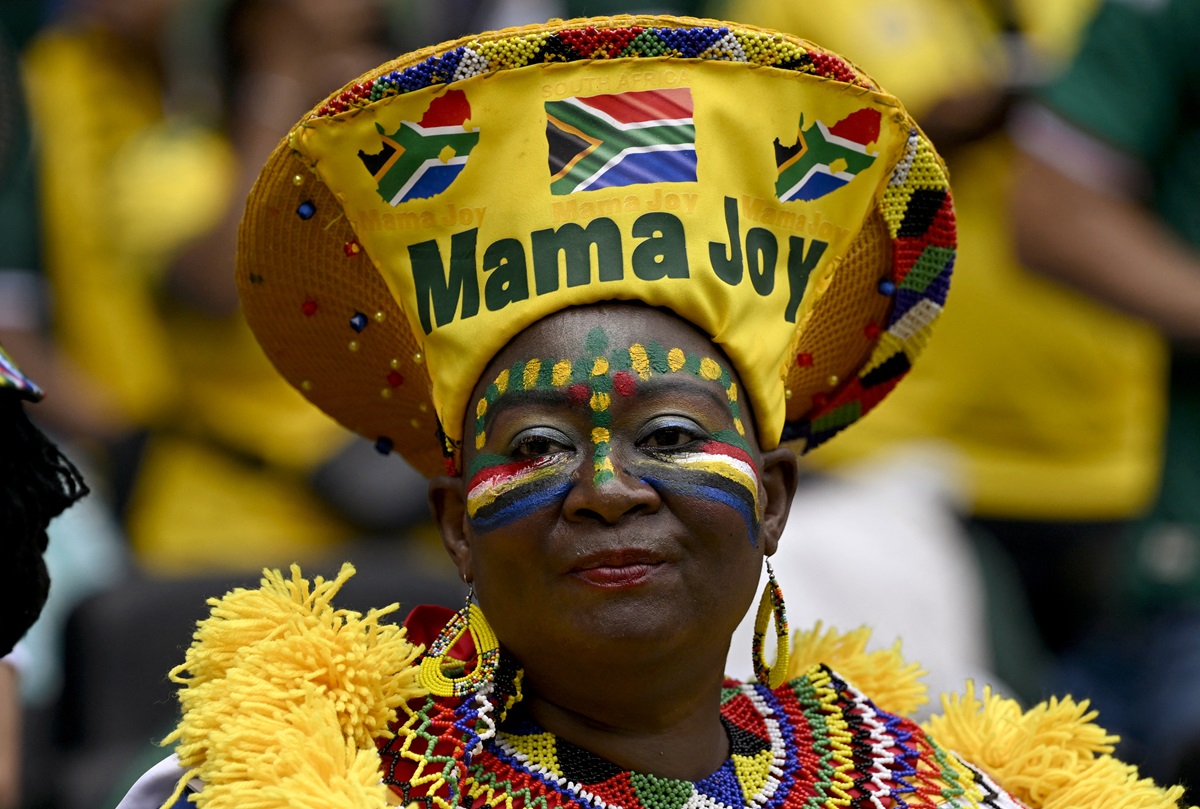World Cup: South Africa Never Expected African Support - Minister